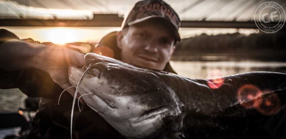 Sum, przynęty na suma, jak złowić suma na spinning - Corona-Fishing