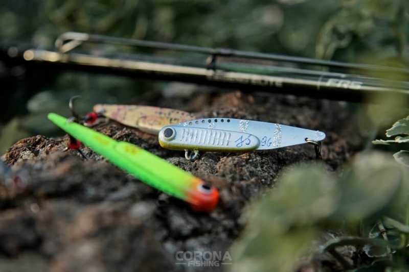 Cykada na sandacza, Cykady Szuszkiewicza - Cykada Rattlin SS - Corona ...