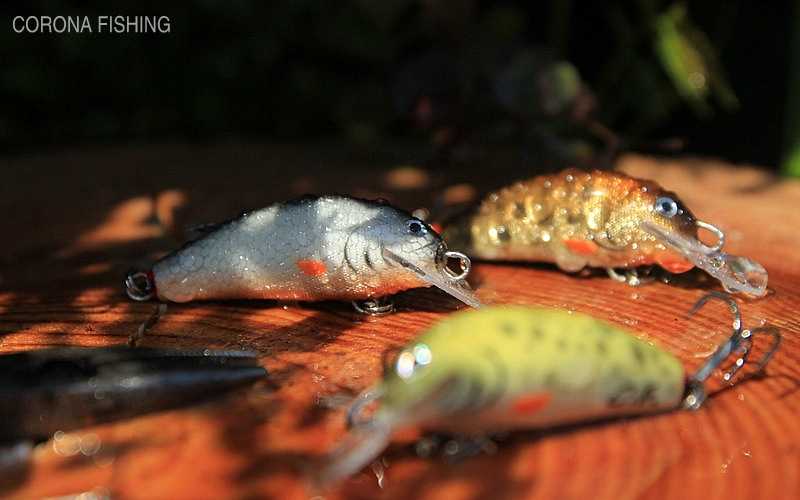 Wobler Kiełb Załęczański - Corona-Fishing