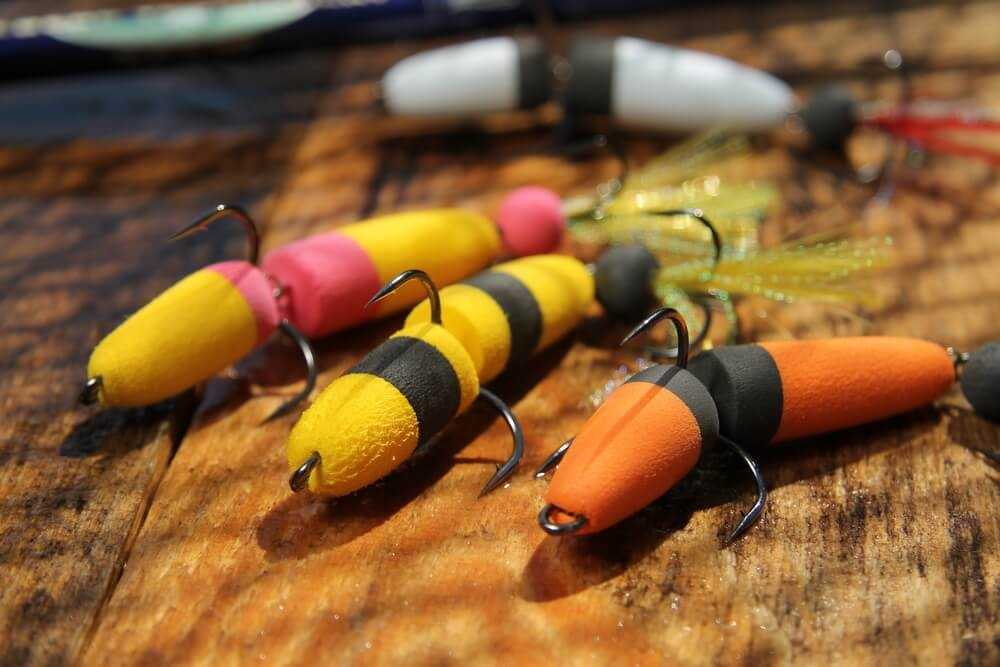 Mandula, Mandula na sandacza - Corona-Fishing