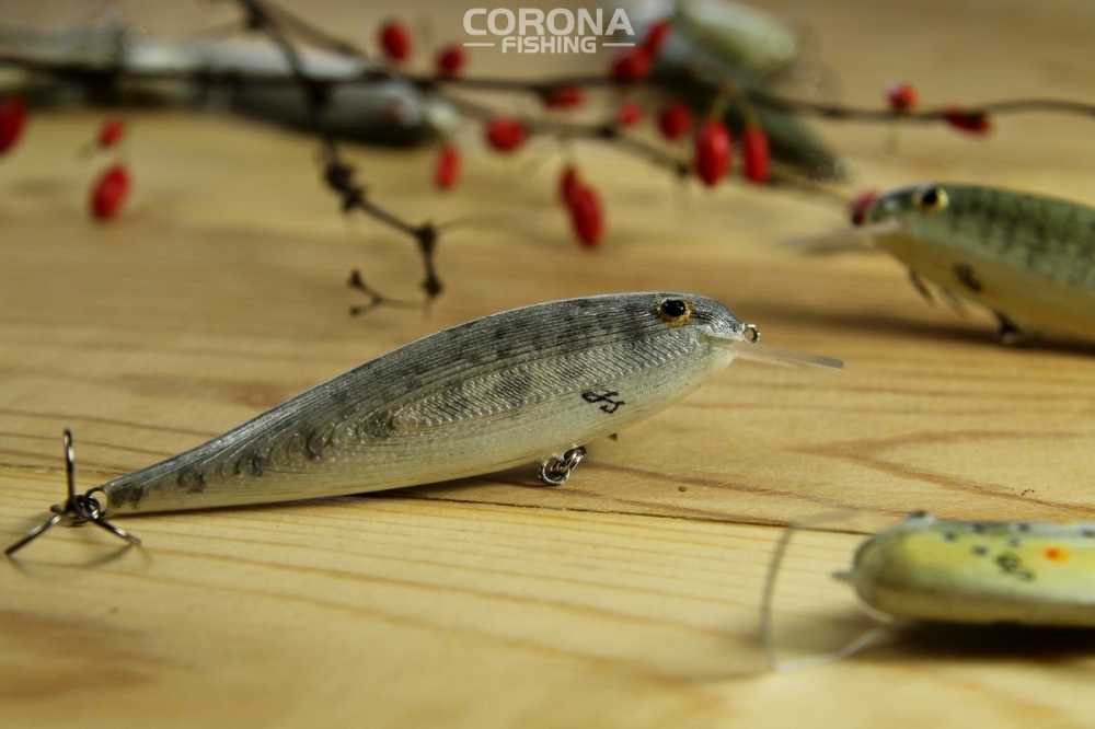 Strzyga 3D Szuszkiewicza - Corona-Fishing