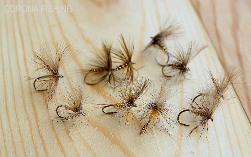 Suche muchy March Brown - Corona-Fishing