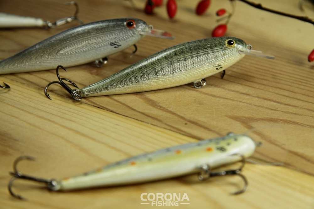Strzyga 3D Szuszkiewicza - Corona-Fishing