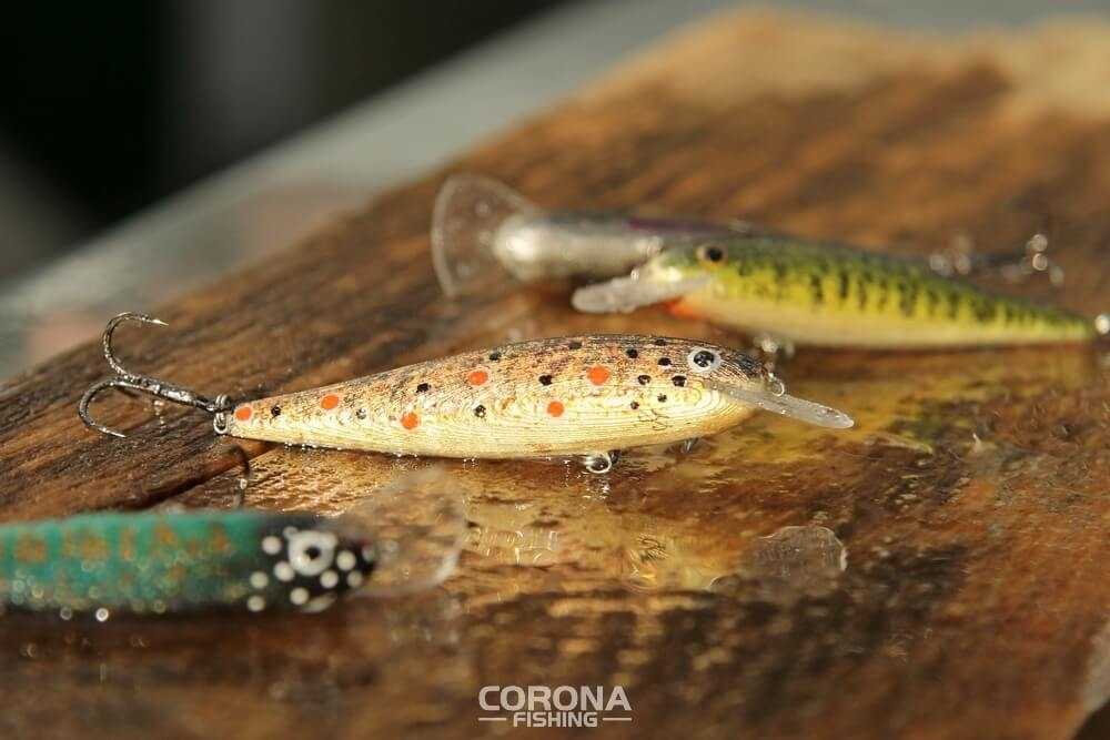 Woblery Szuszkiewicza - Strzebla Gruba - Corona-Fishing